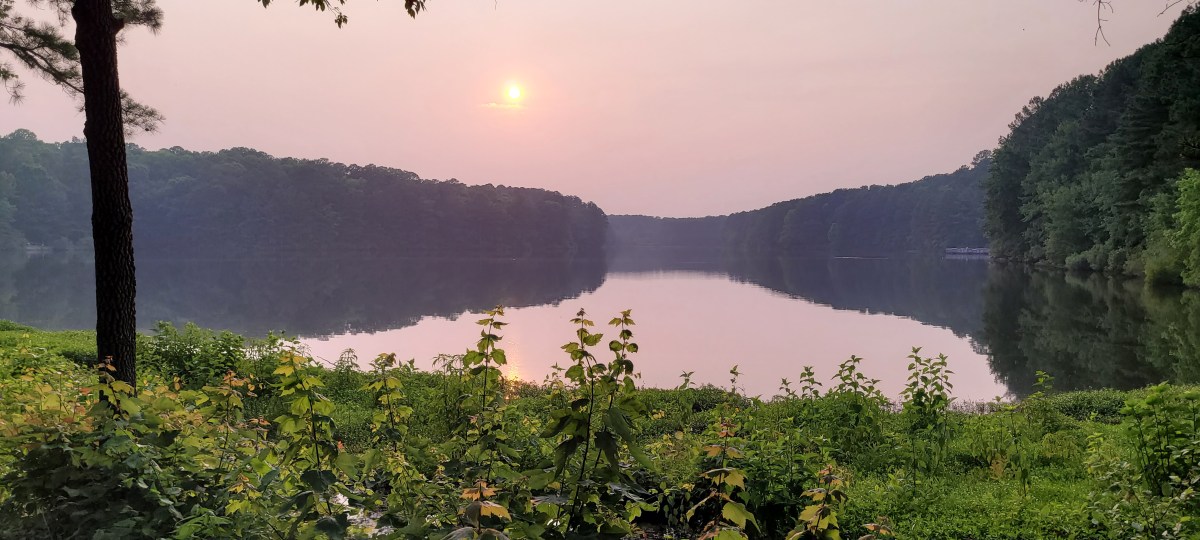 10 essential skills you need to build a home debt-free in 2023 – Debt ...