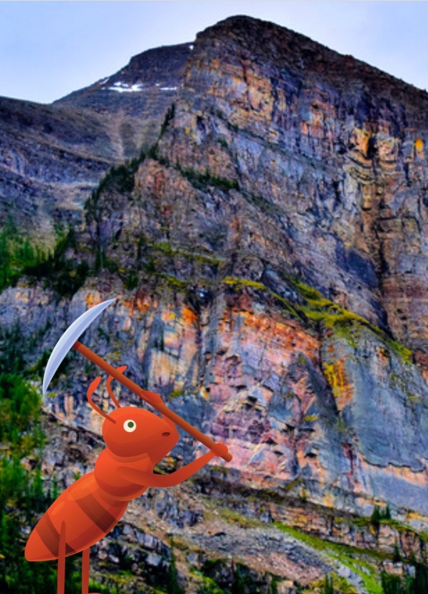 DIY land grading without heavy machinery: Tools and equipment for hand ...